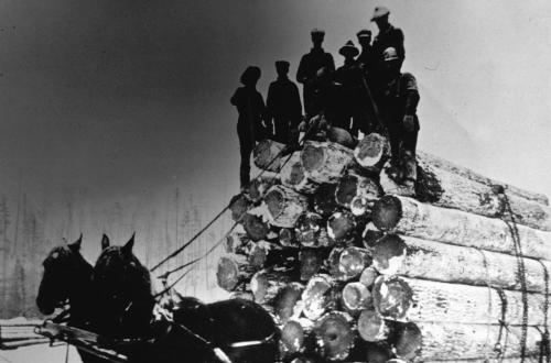 The Lumber Trade In The 1800s